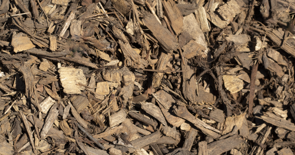 Forest Floor Bark - Cubic Metre
