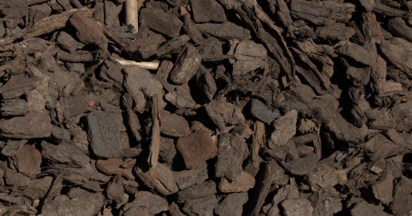 Premium Large Bark Nuggets 30mm - Cubic Metre