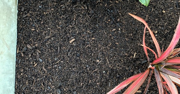 Organic Compost - Cubic Metre