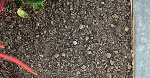 Screened Topsoil - Cubic Metre